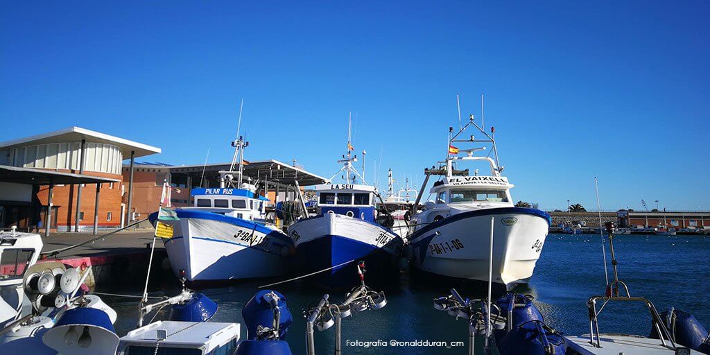 El Puerto de Vilanova: el pescado más fresco del litoral Catalán